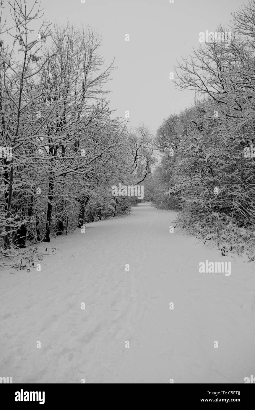 Countryside path covered with snow Stock Photo - Alamy