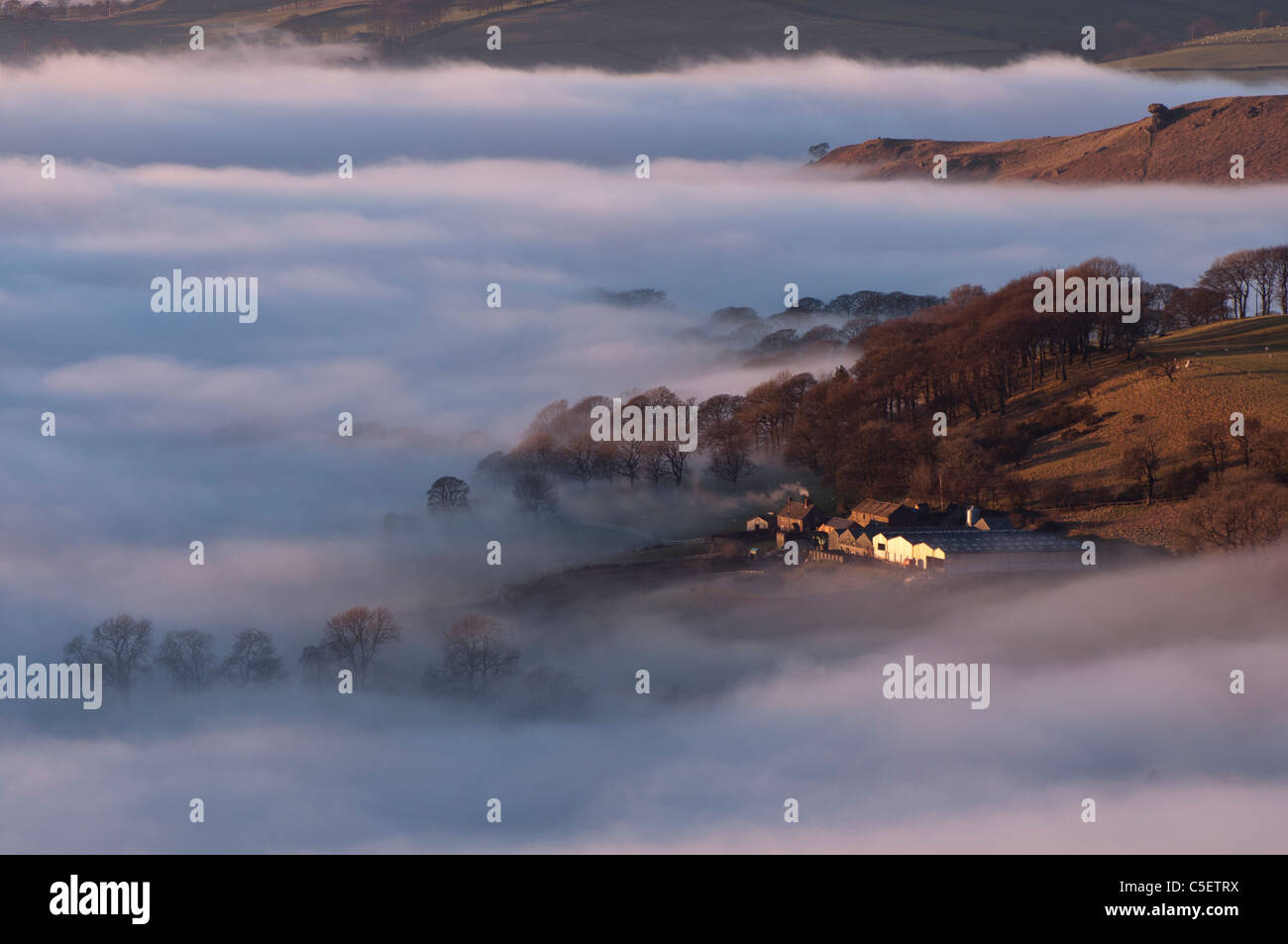 Roche light hi-res stock photography and images - Alamy