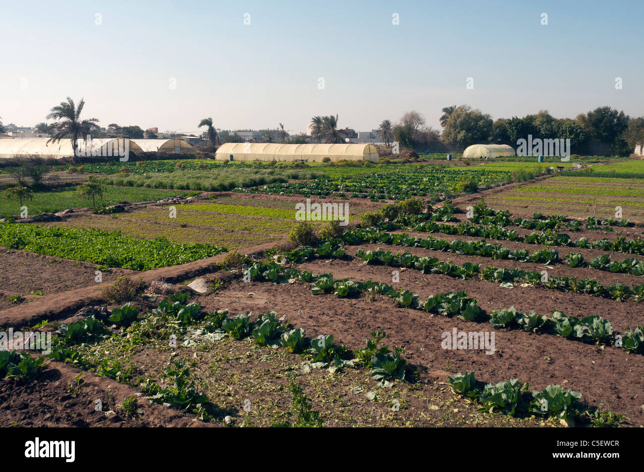 Bahrain island hi-res stock photography and images - Alamy
