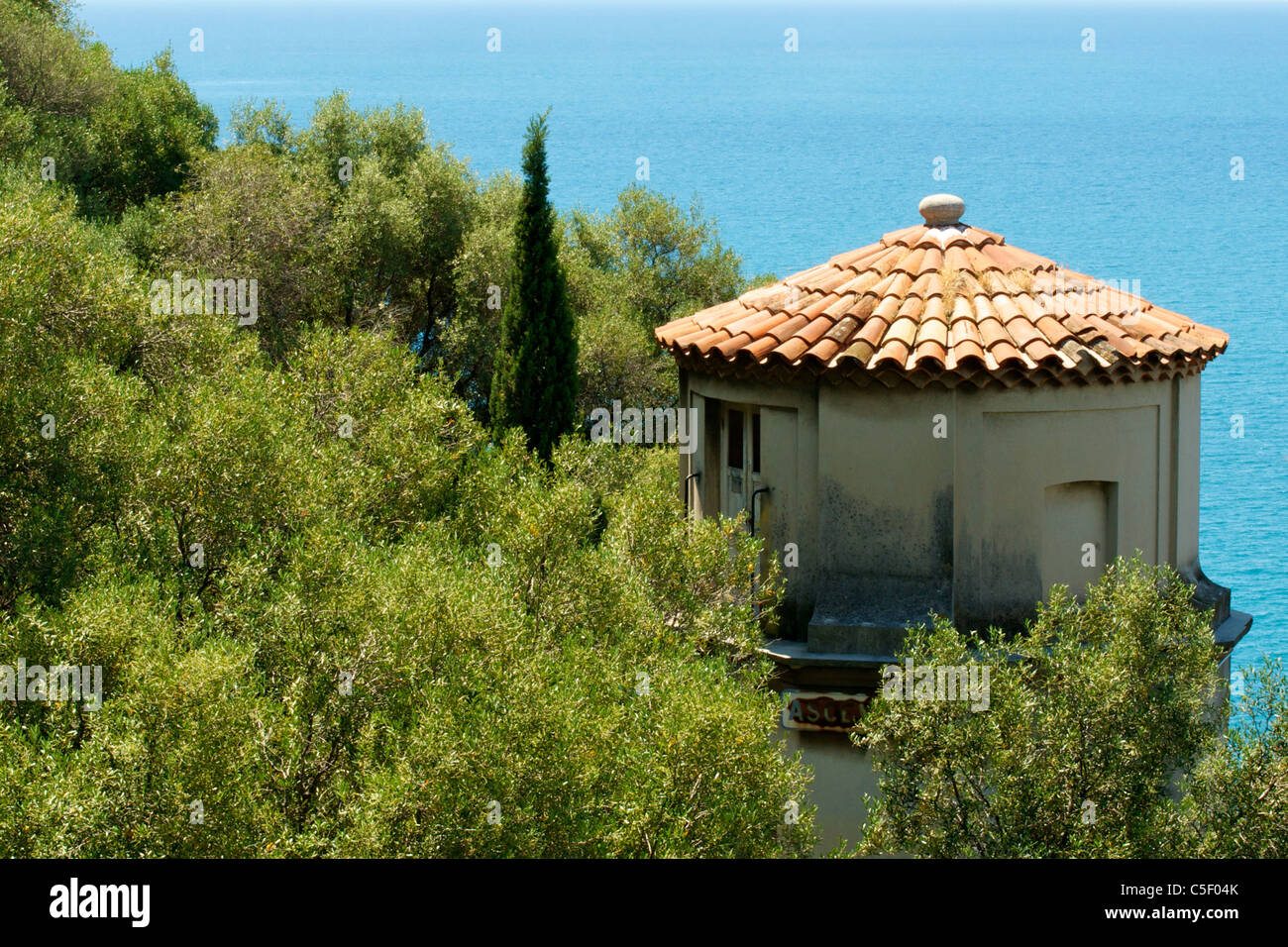 Round hill pines hi-res stock photography and images - Alamy