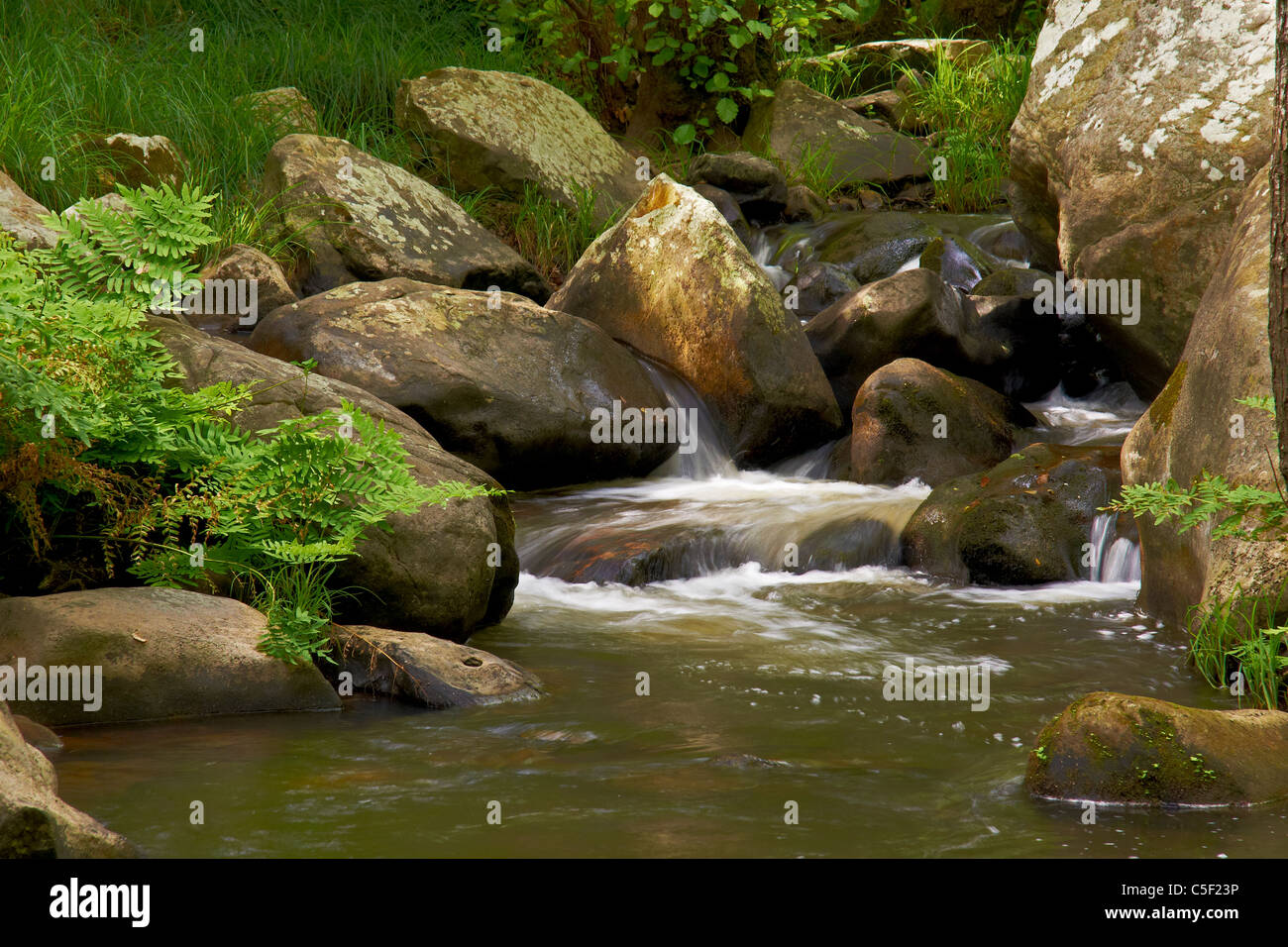 waterfalls river,andalusia,natural park forest,Los Alcornocales,San ...