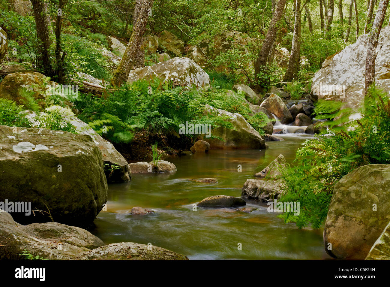 waterfalls river,andalusia,natural park forest,Los Alcornocales,San ...