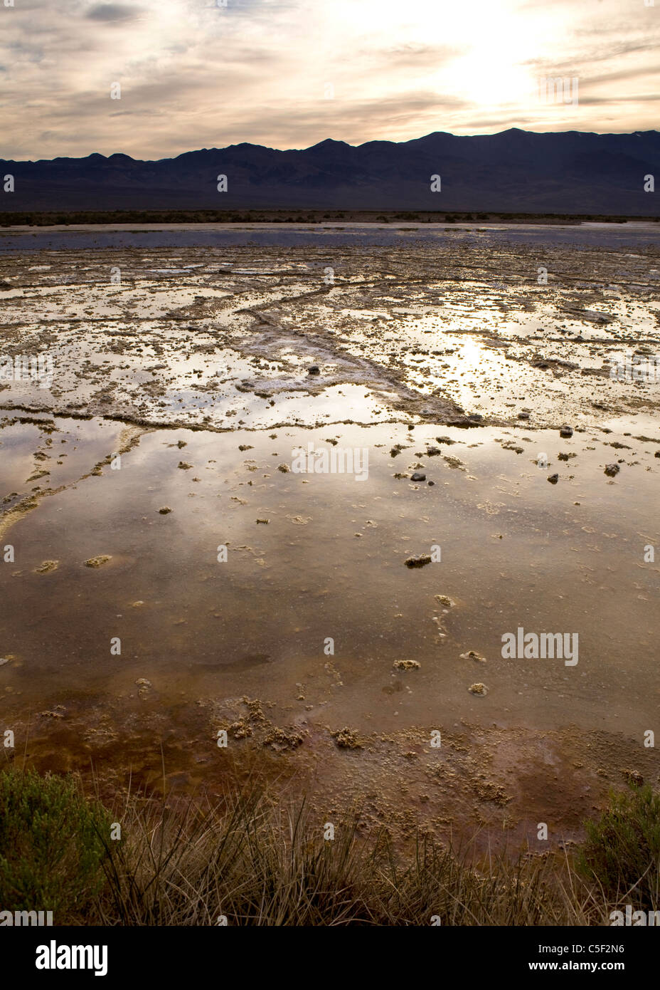 Bad Water, Death Valley - California USA Stock Photo - Alamy