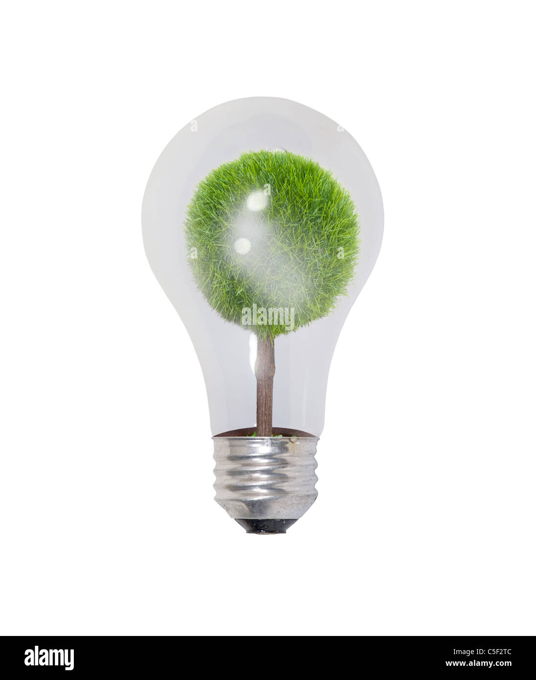 Green Light Bulb In Room