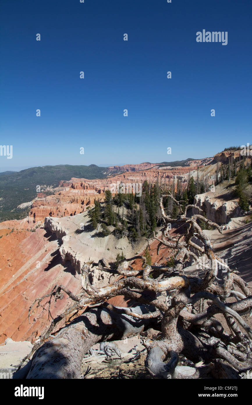 Cedar breaks monument hi-res stock photography and images - Alamy