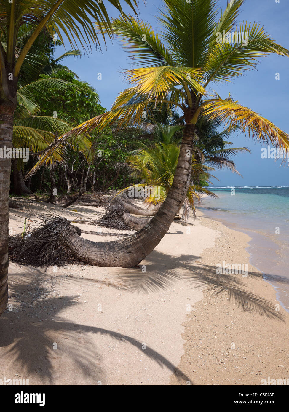 Isla Bastimentos Panama Stock Photo - Alamy