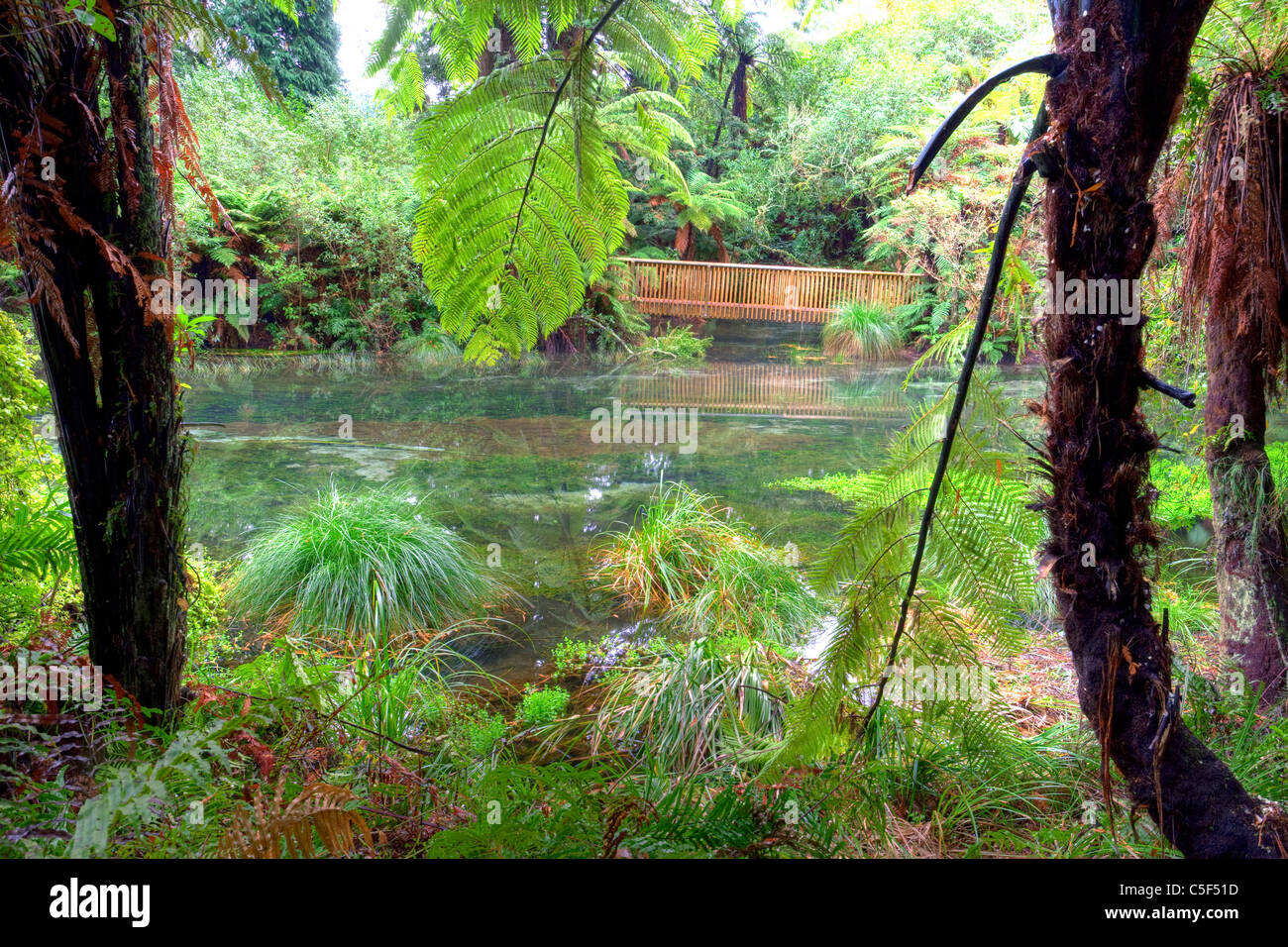 Hamurana springs hi-res stock photography and images - Alamy