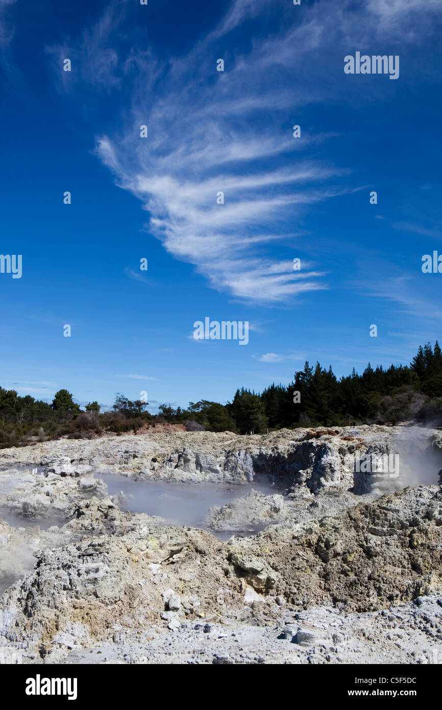 Hells gate new zealand hi-res stock photography and images - Alamy