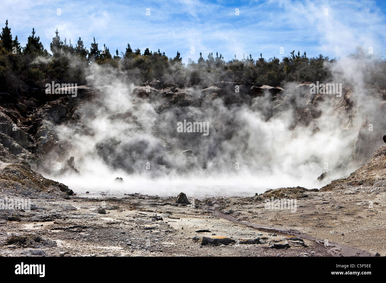 Hells gate new zealand hi-res stock photography and images - Alamy