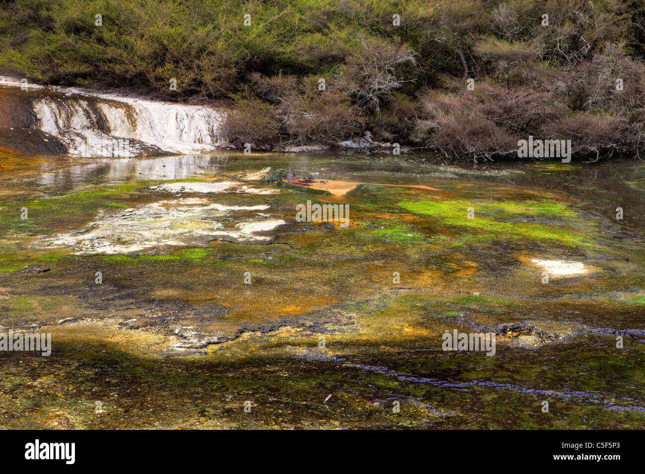Warbrick Terrace, Waimangu Volcanic Valley, Rotorua, North Island, New ...