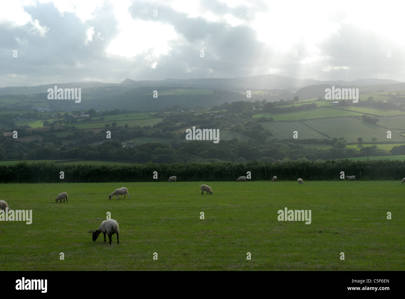 Lostwithiel view hi-res stock photography and images - Alamy