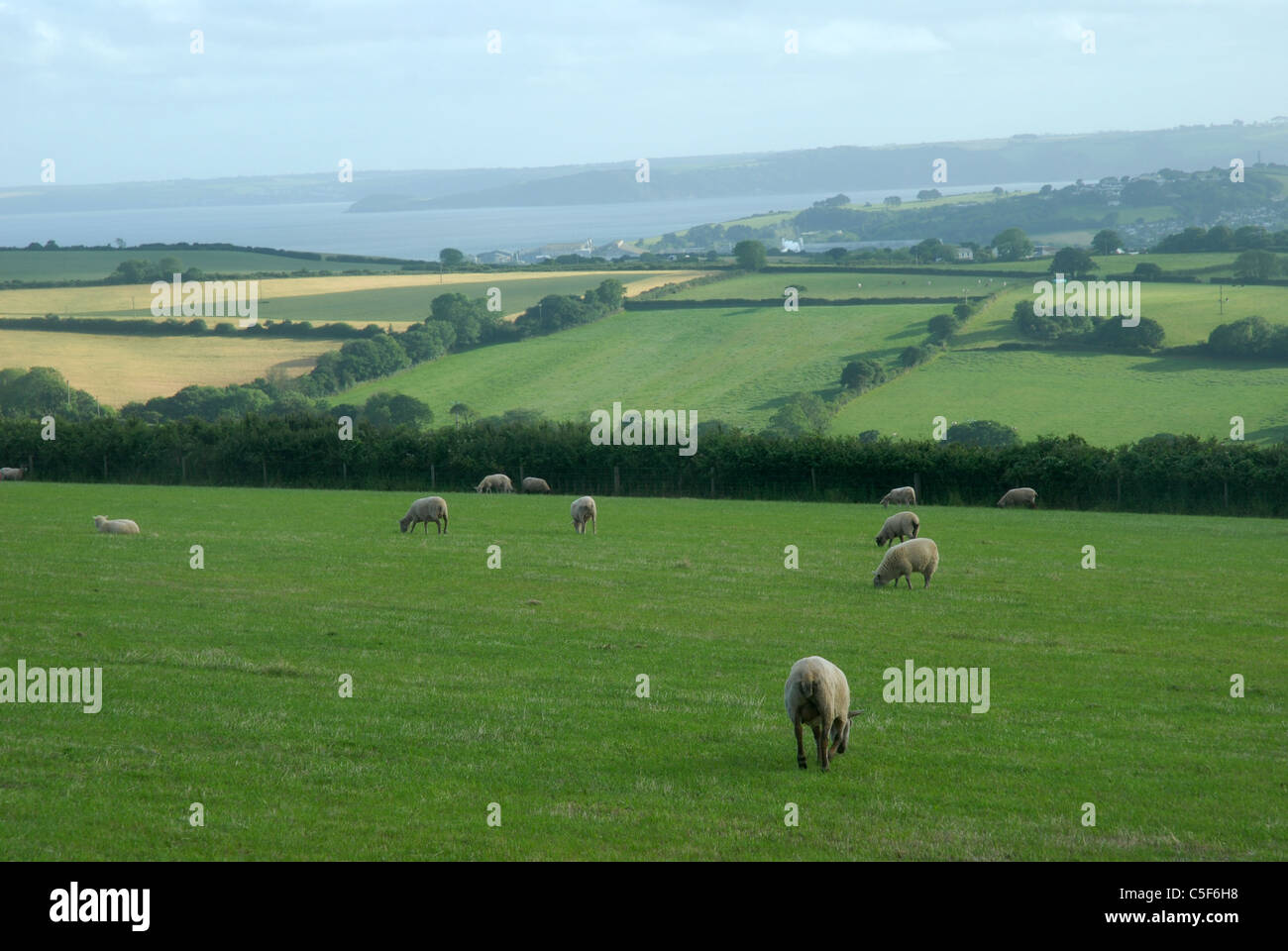 Lostwithiel view hi-res stock photography and images - Alamy