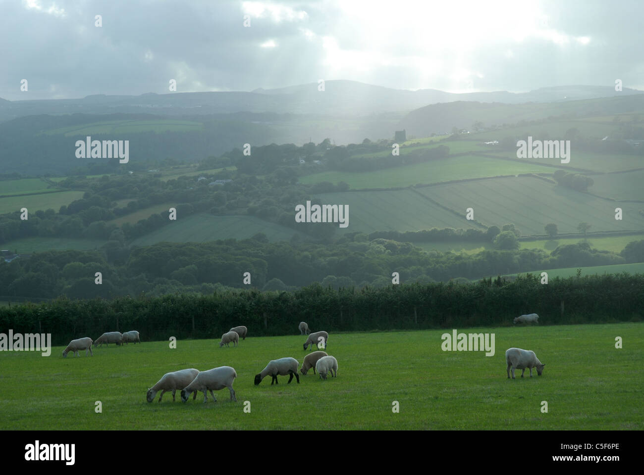 Countryside, Lostwithiel, Cornwall, GB Stock Photo - Alamy