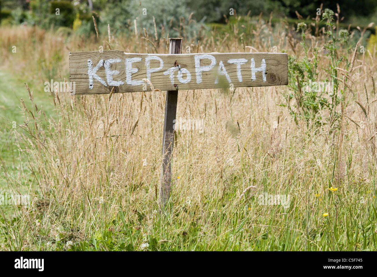 Road Sign Way Way Words High Resolution Stock Photography and Images ...