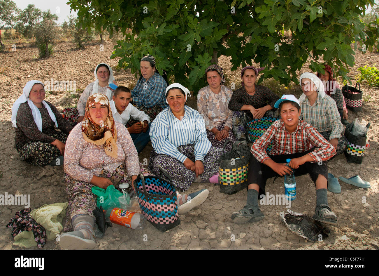 Woman Women South West Turkey Farmer Harvest Farm Turkish Stock Photo ...