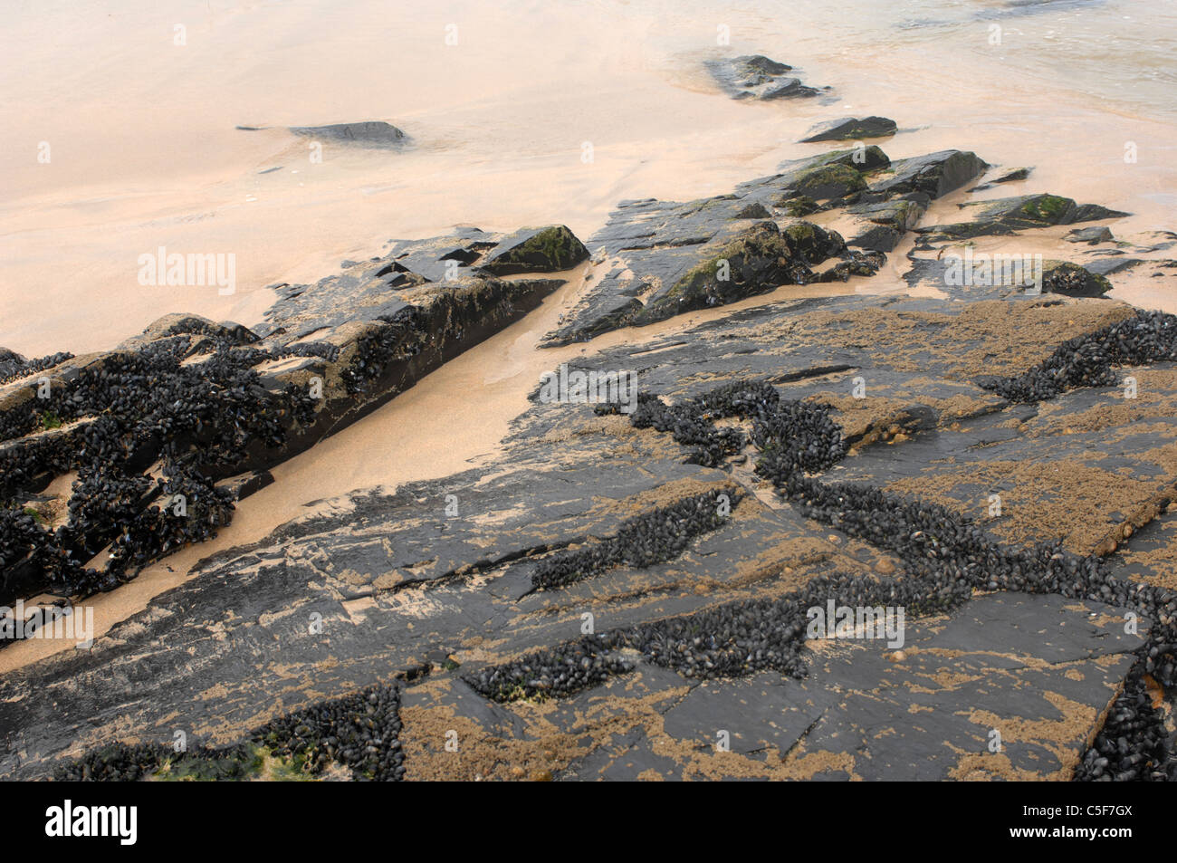 Trevone Bay, North Cornwall, GB Stock Photo - Alamy