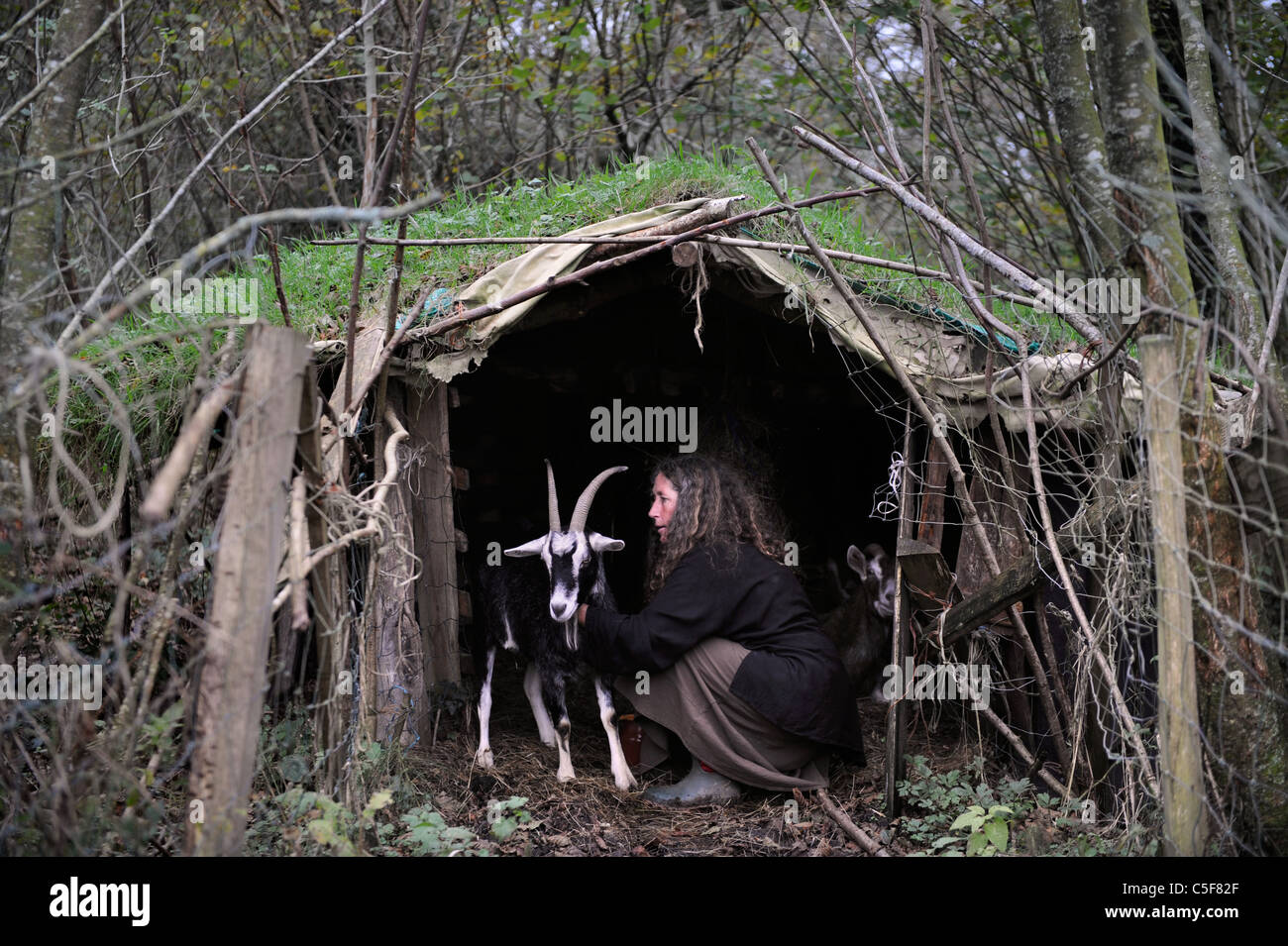 Emma Orbach milking her goats in the Tir Ysbrydol area of the Brithdir ...