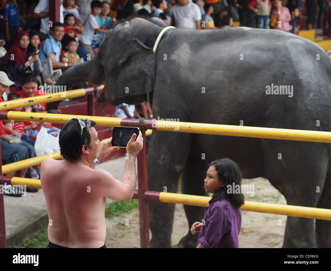 Tablets for elephant hi-res stock photography and images - Alamy
