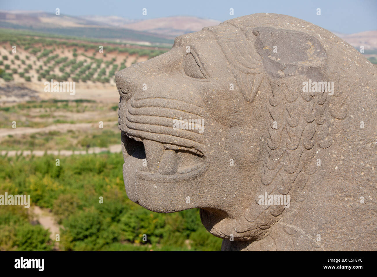 Lion statue at Ain Dara, Syria Stock Photo - Alamy