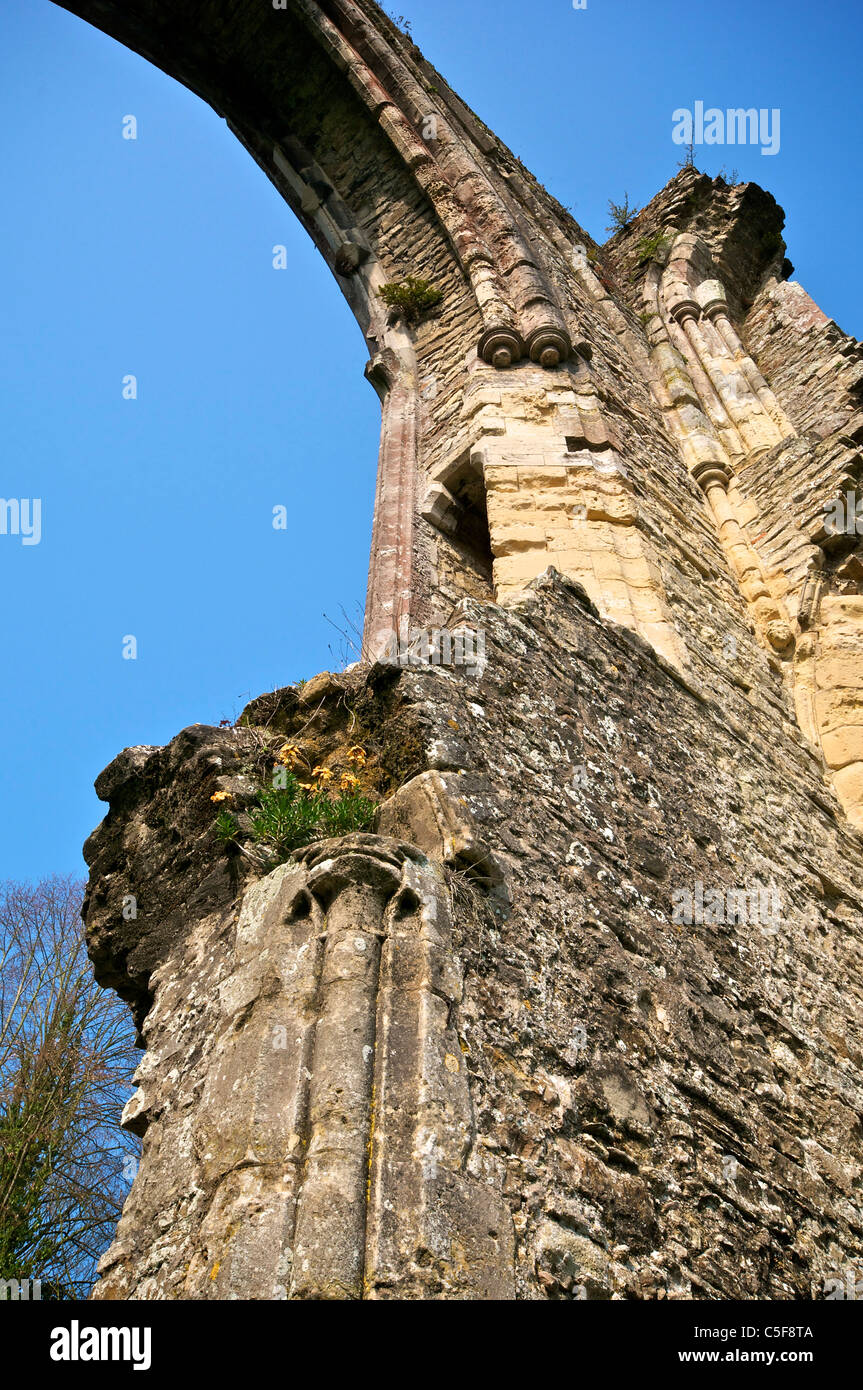 Netley Abbey Hampshire UK Stock Photo - Alamy
