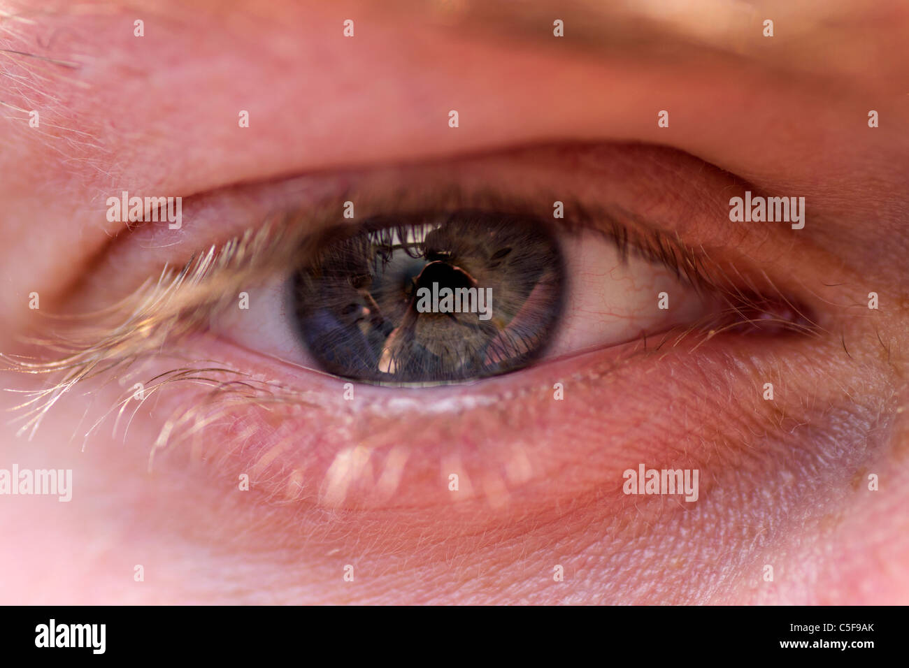 A photo of an eye Stock Photo - Alamy