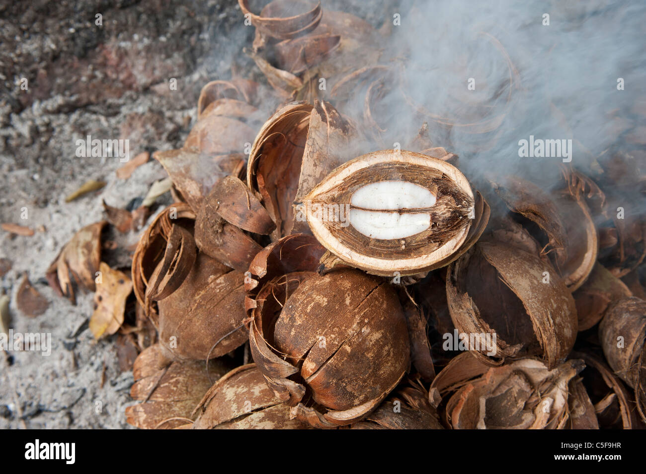 Babassu hi-res stock photography and images - Alamy