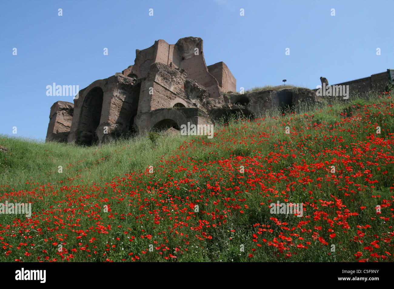 the ancient roman palatine hill monument in rome Stock Photo - Alamy