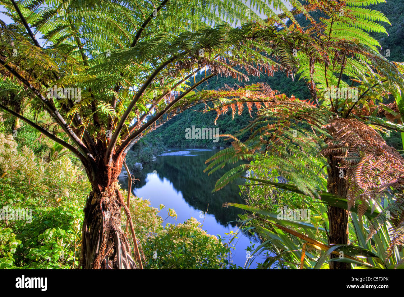 Pororari river hi-res stock photography and images - Alamy