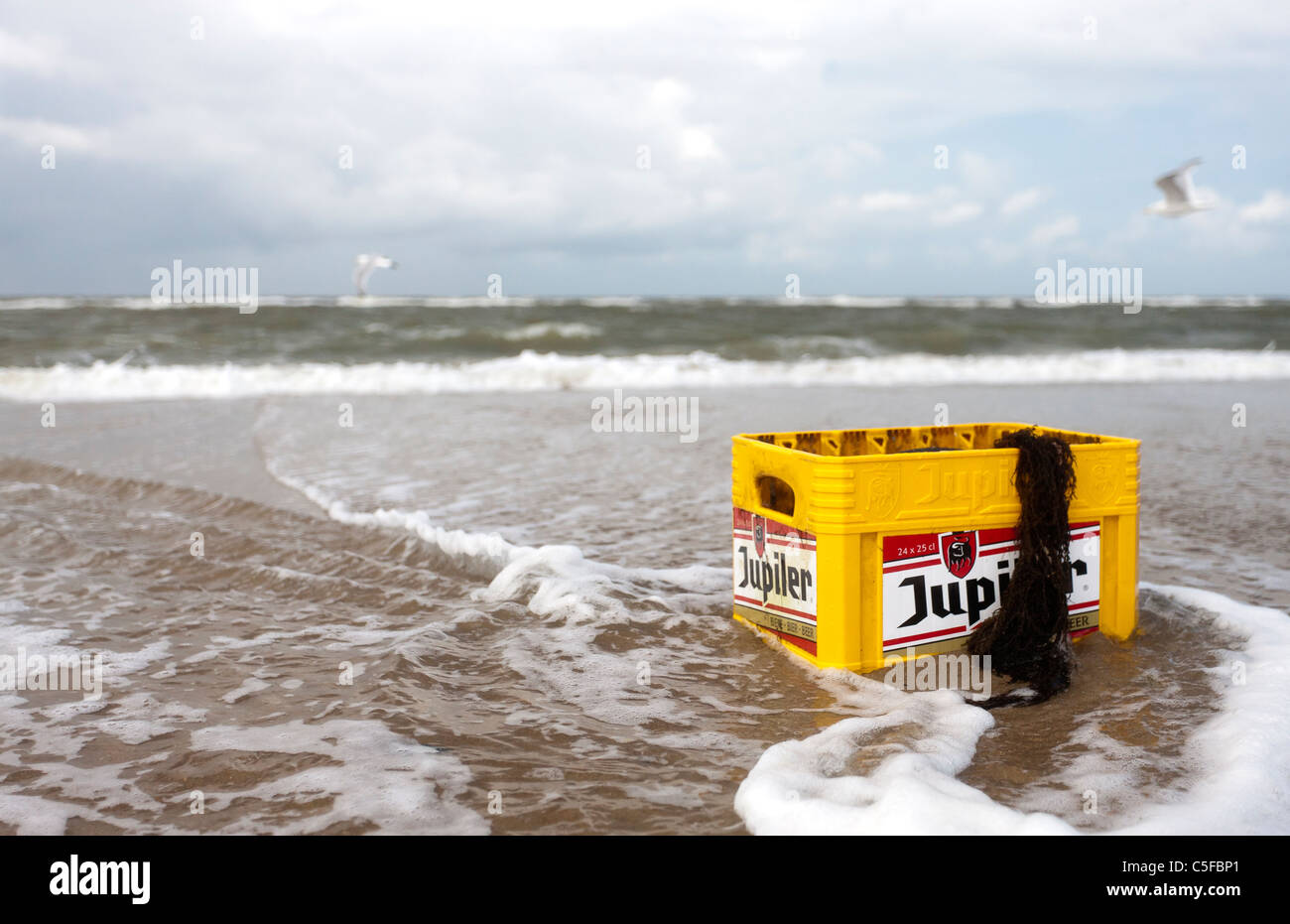 Jupiler hi-res stock photography and images - Alamy