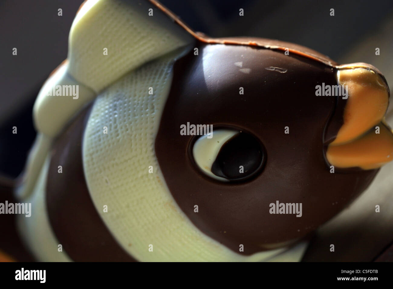 Chocolate Fish for Easter Stock Photo - Alamy