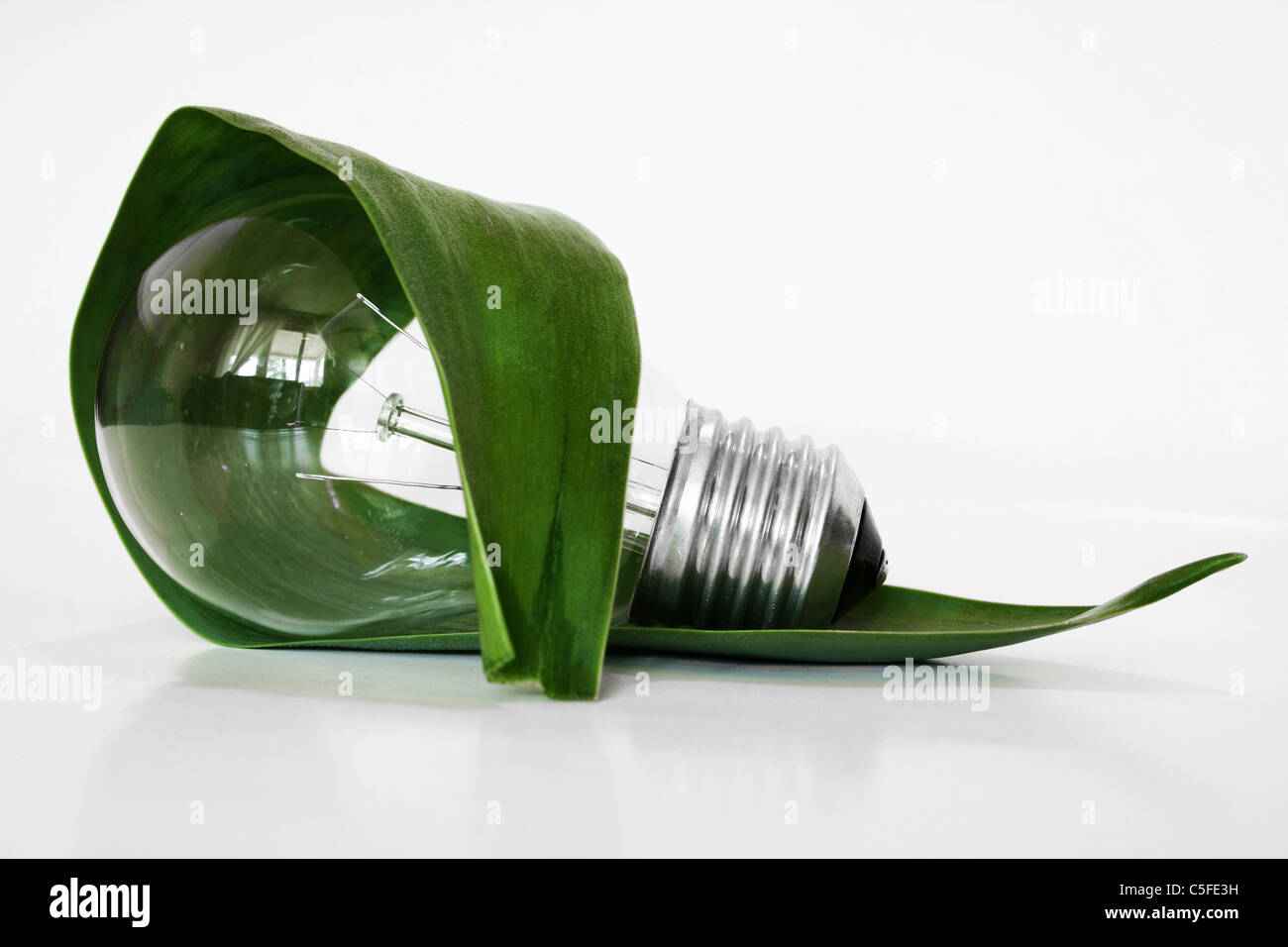 Eco light bulb concept Stock Photo - Alamy