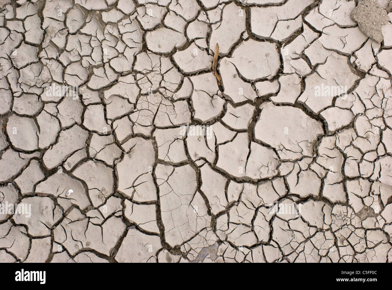 cracked earth backgrounds Stock Photo - Alamy