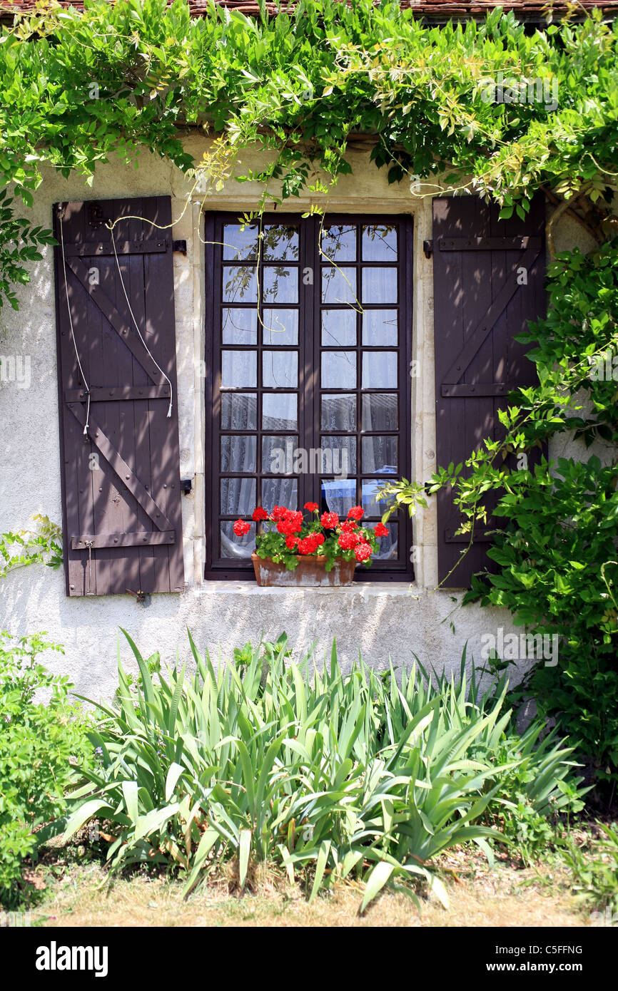 French Window with Geraniums Stock Photo - Alamy