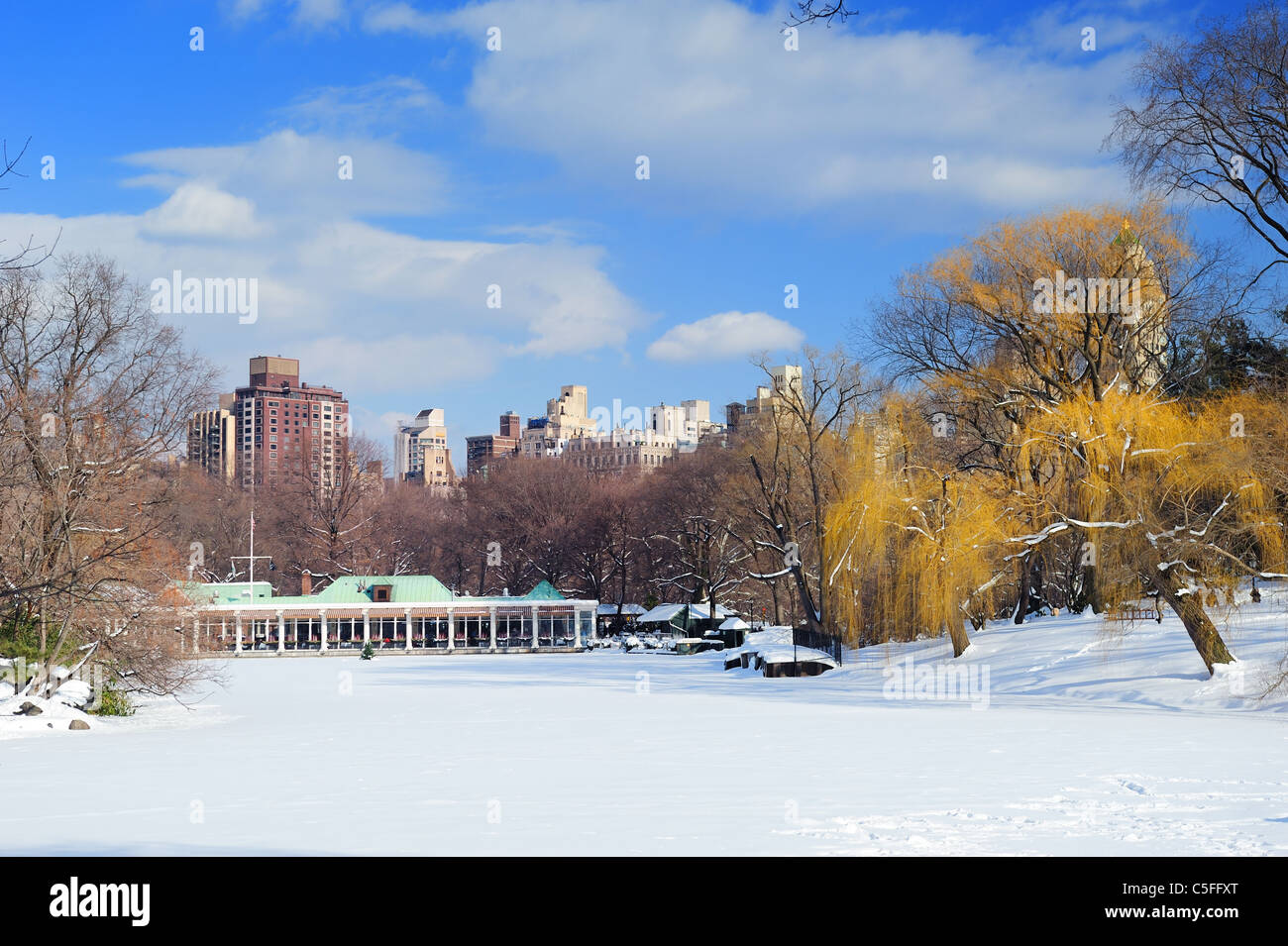 New York City Manhattan Central Park panorama in winter with ice and ...