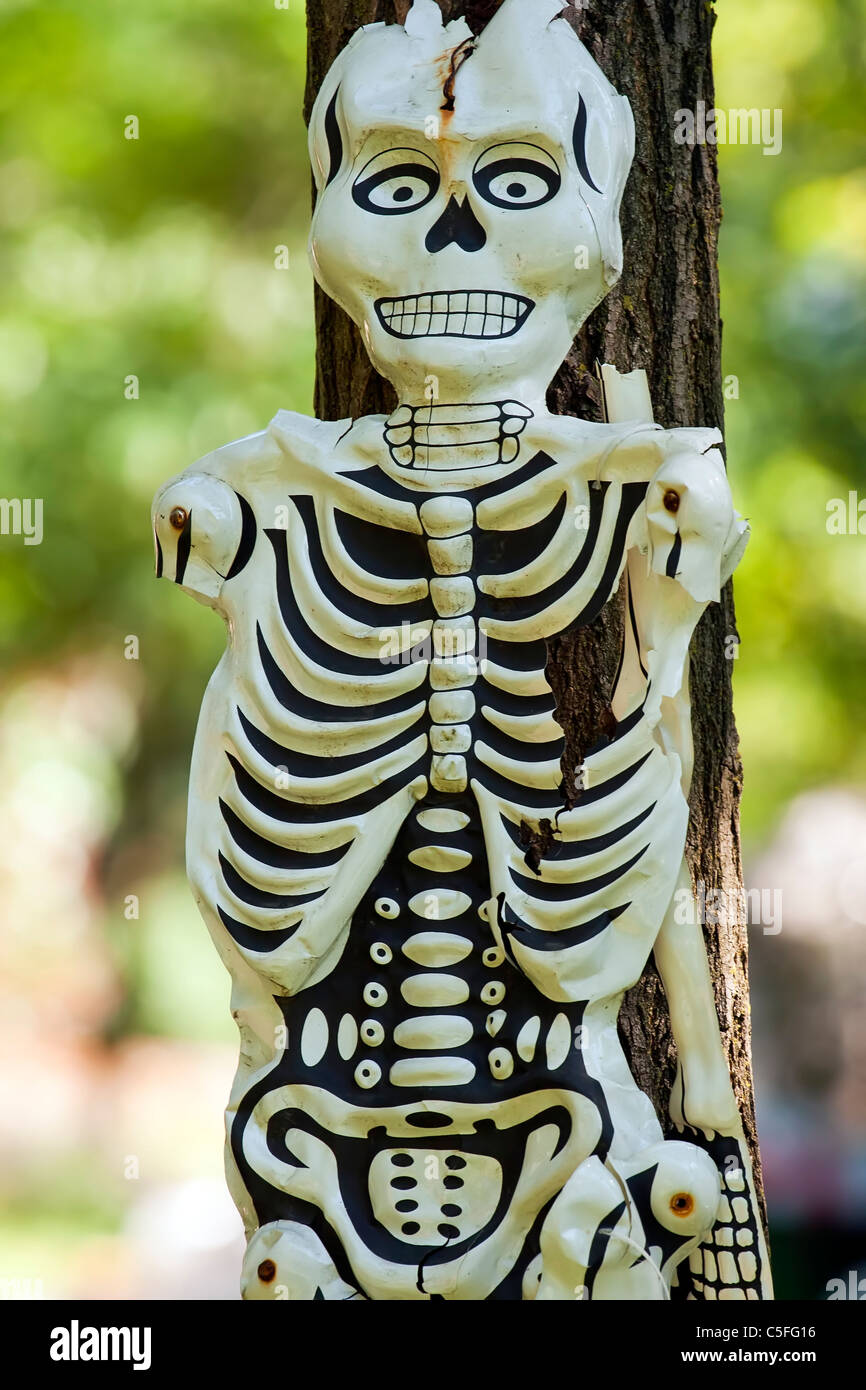 Human skull laughing skeleton hi-res stock photography and images - Alamy