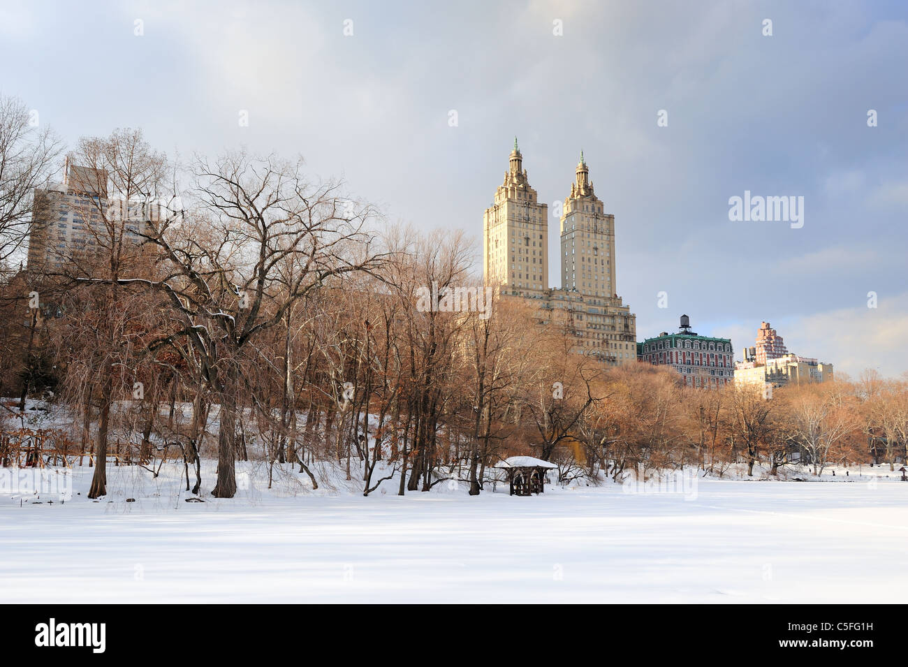 New York City Manhattan Central Park in winter with ice and snow over ...