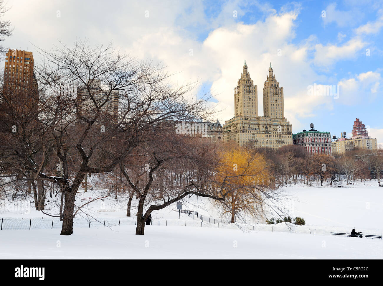 New York City Manhattan Central Park in winter with ice and snow over ...