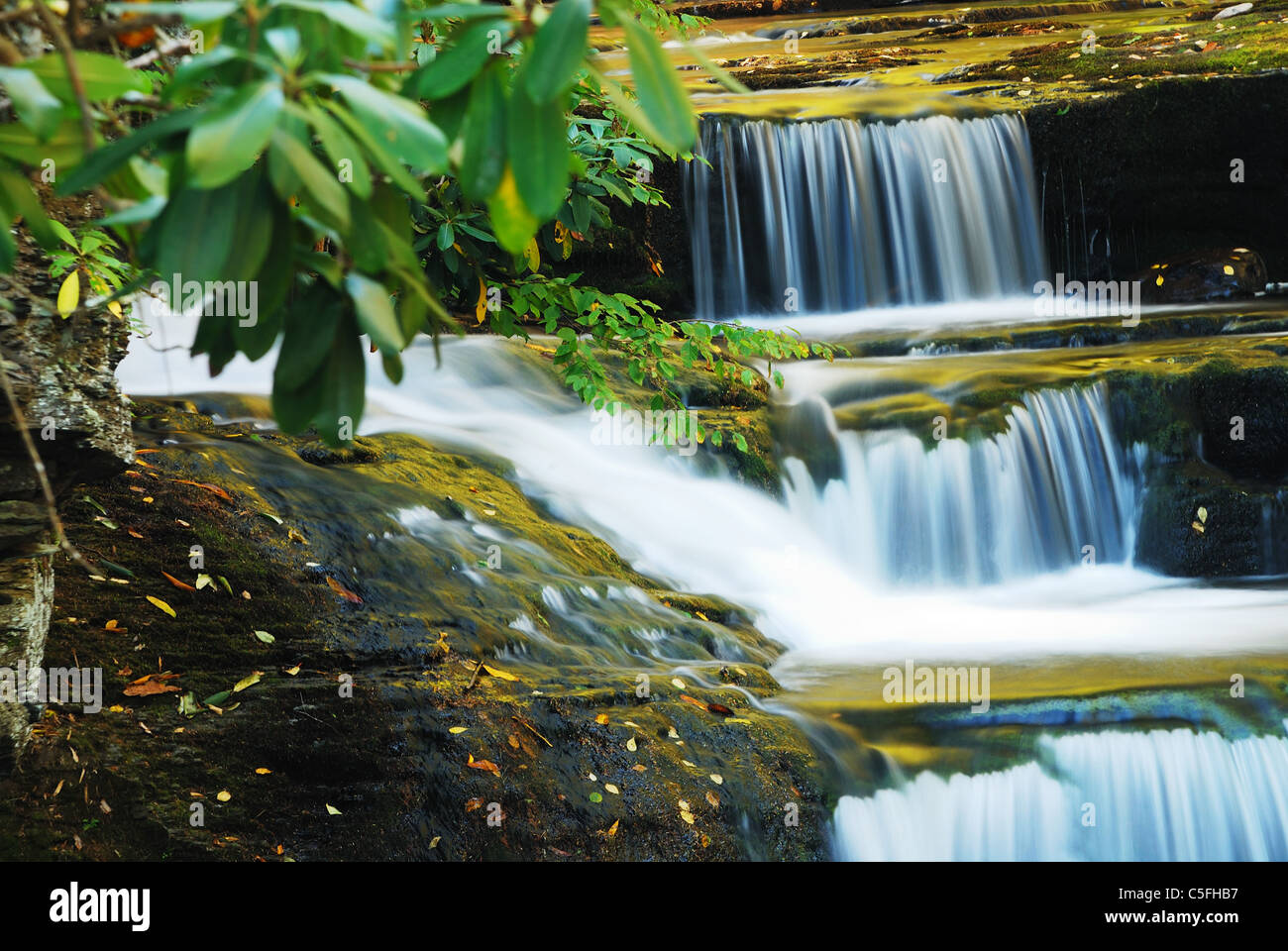 Waterfall in woods with rocks Stock Photo - Alamy