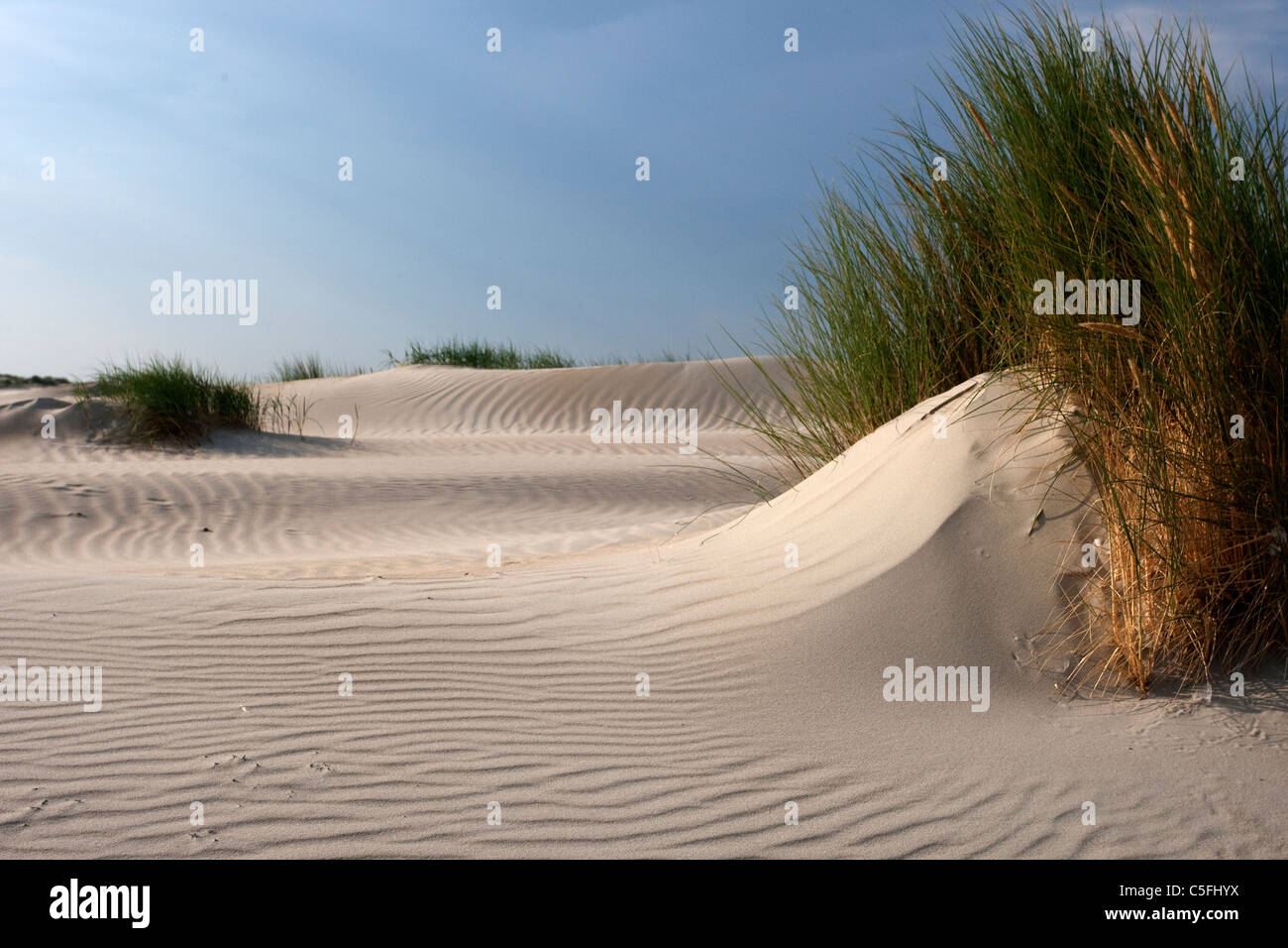 Dunes Of Texel High Resolution Stock Photography and Images - Alamy