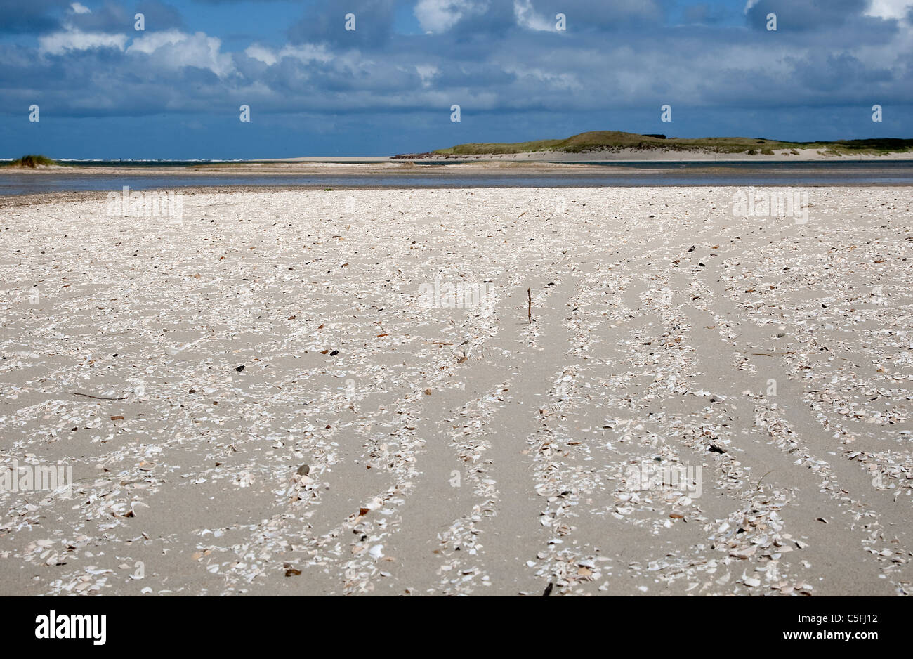 White shell beach on Texel, Netherlands Stock Photo - Alamy