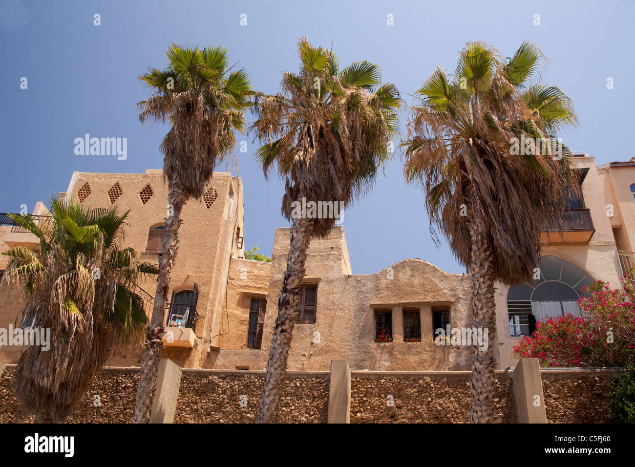 Old Jaffa Arab style houses and palm trees Israel Stock Photo - Alamy
