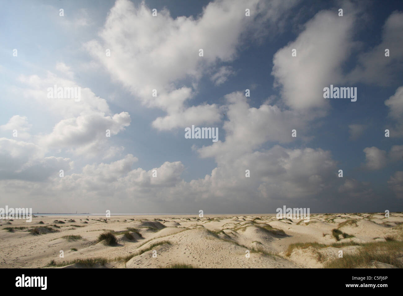 Sandbank summer landscape hi-res stock photography and images - Alamy