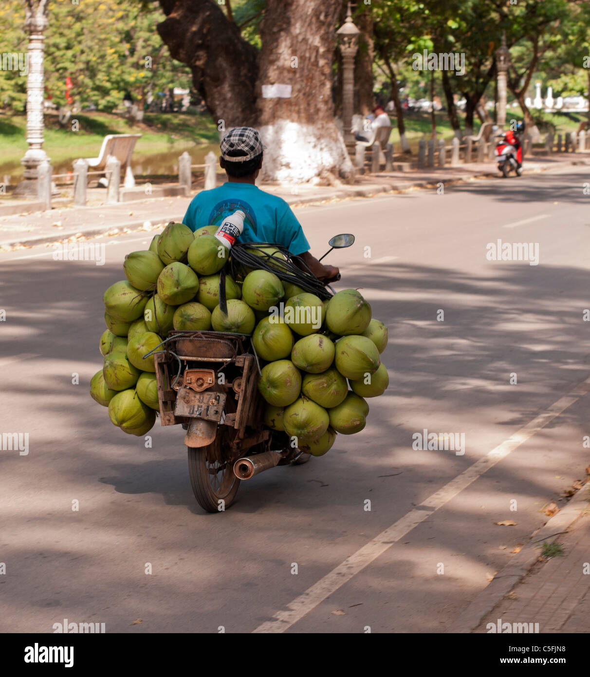 Transporting coconuts hi-res stock photography and images - Alamy