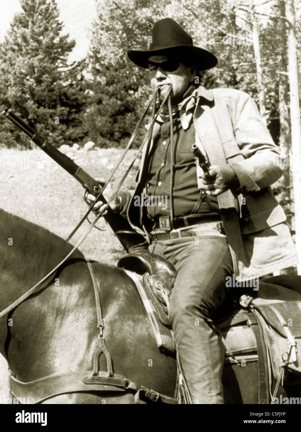 John wayne true grit hi-res stock photography and images - Alamy