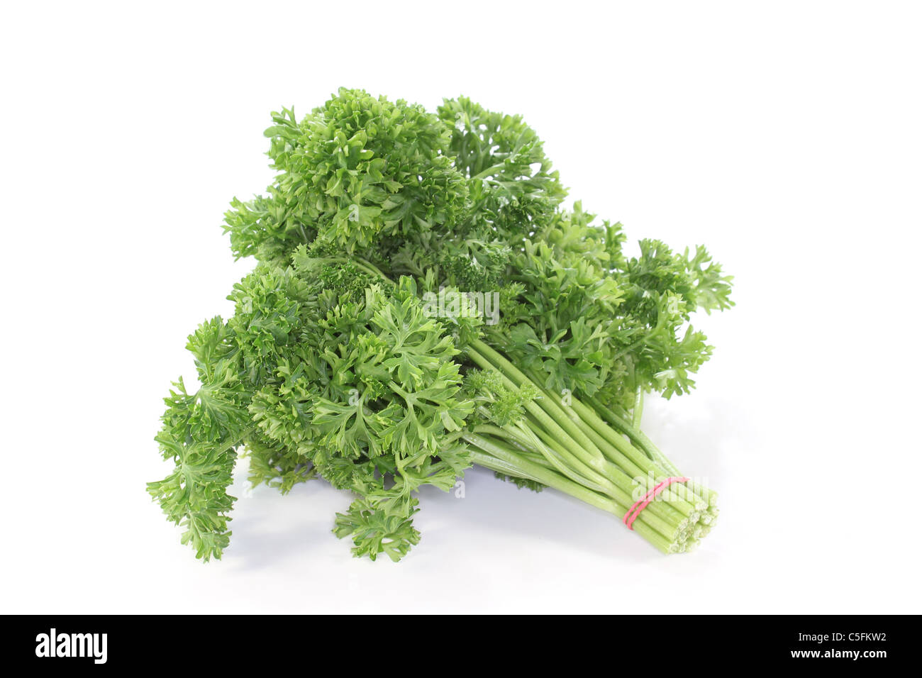 fresh green parsley on a white background Stock Photo - Alamy
