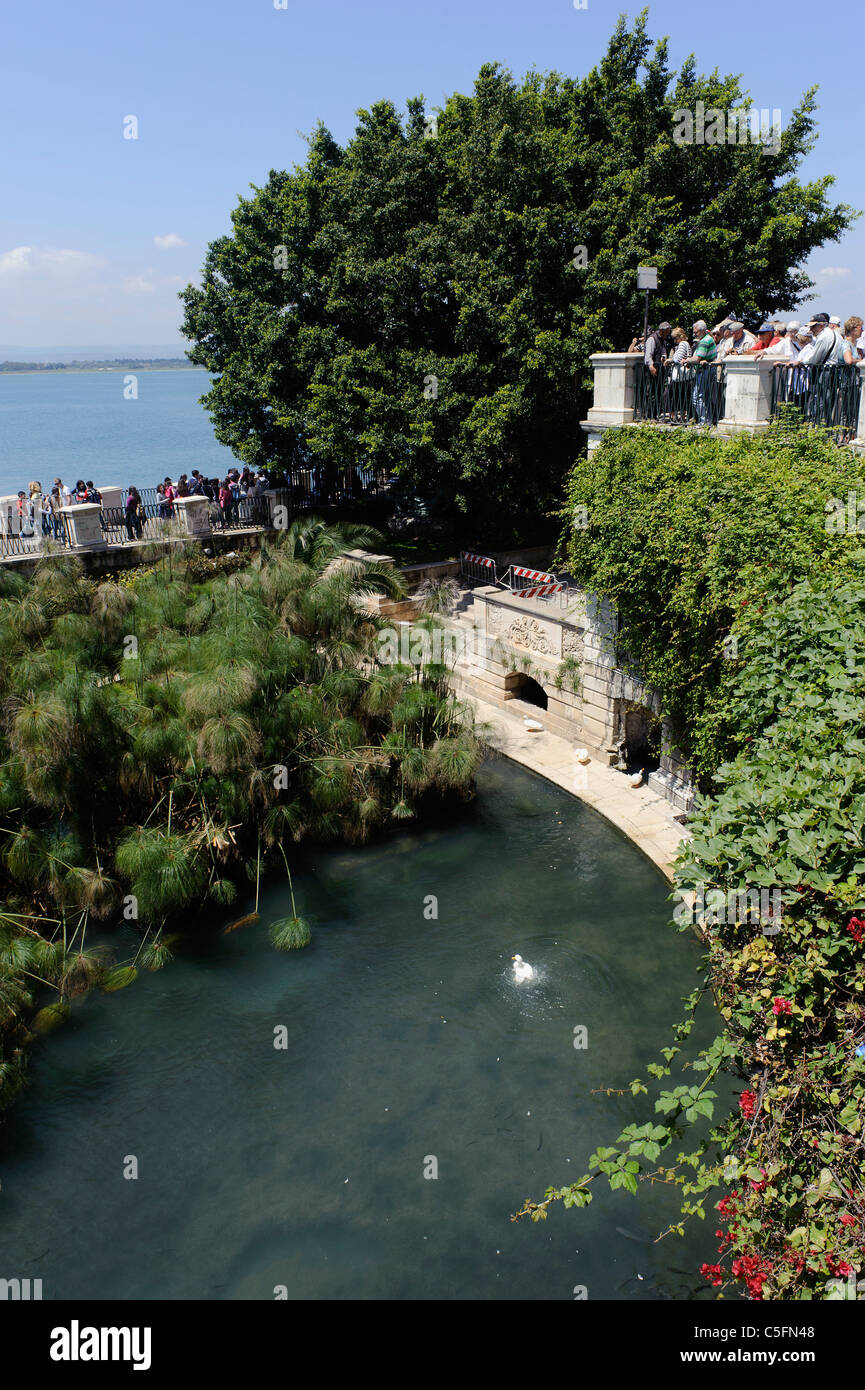 Fonte Aretusa in Ortigia, Syrakusa, Sicily, Italy Stock Photo - Alamy