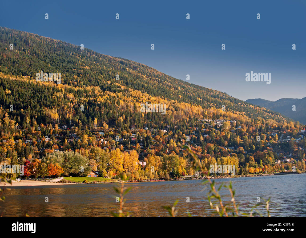 Nelson Mountains in the fall Stock Photo - Alamy