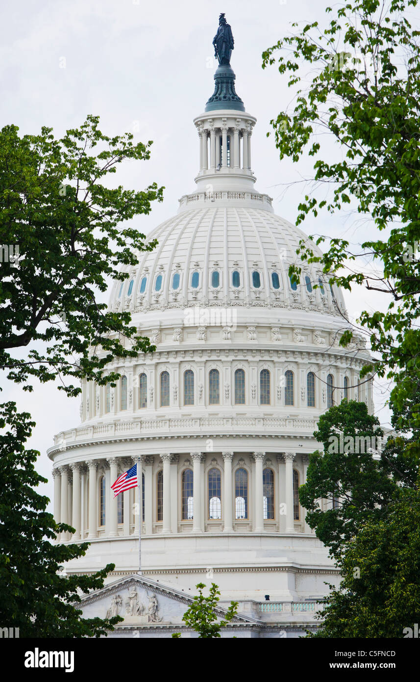 Us capitol building dome statue hi-res stock photography and images - Alamy