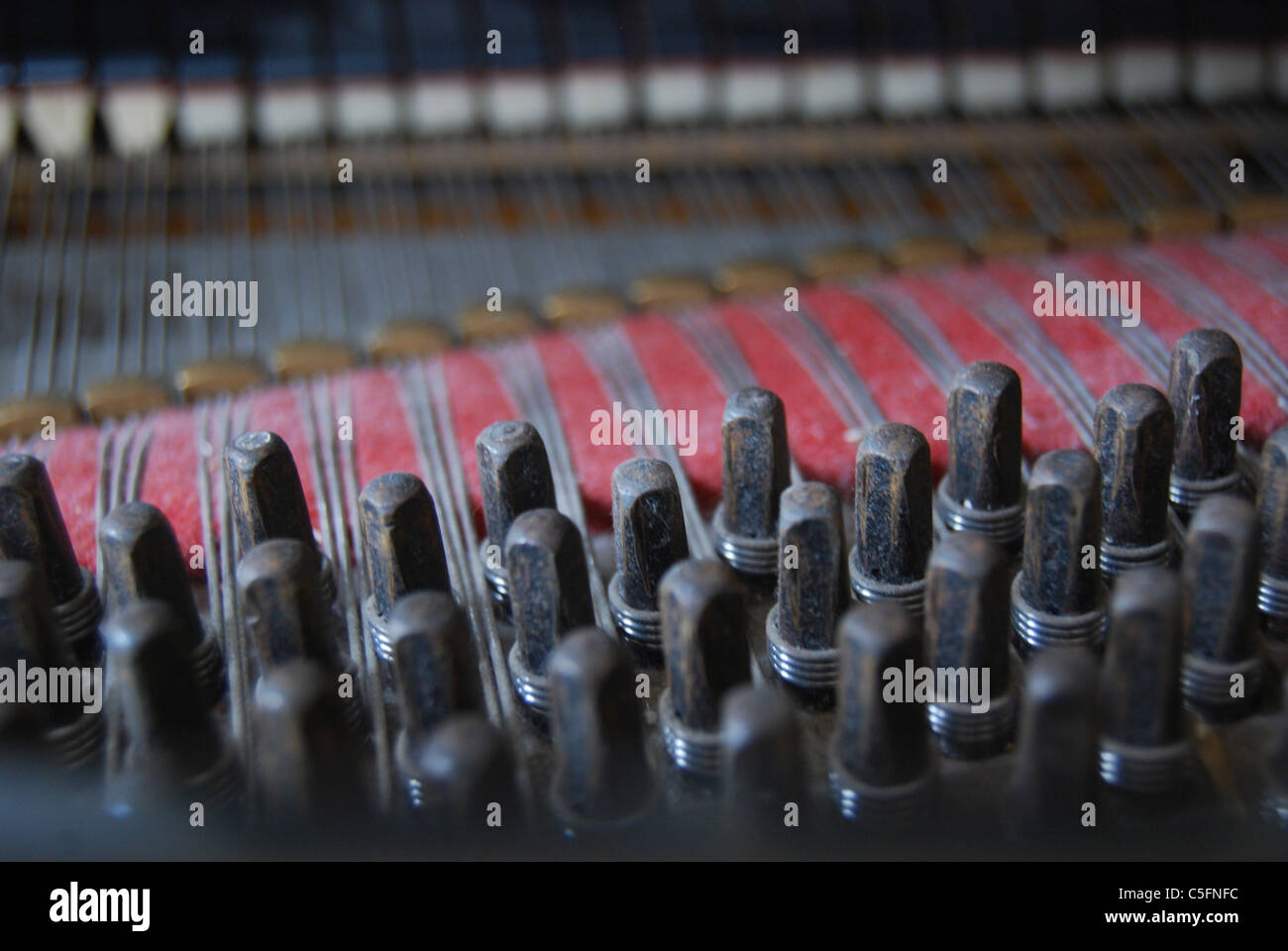 Tuning pegs and strings of a grand piano Stock Photo - Alamy