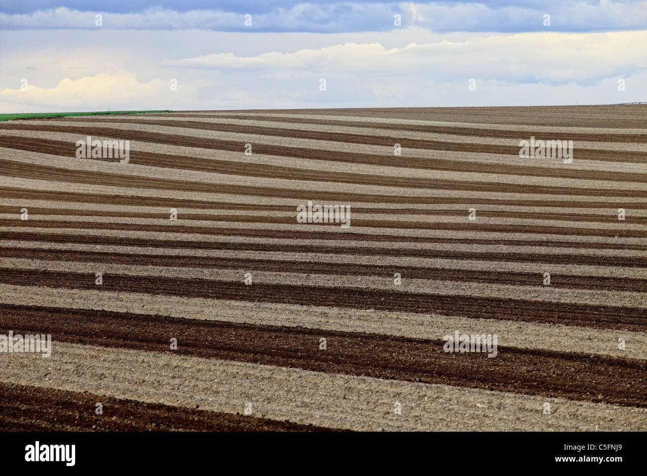 Image of a freshly plowed farm field Stock Photo - Alamy